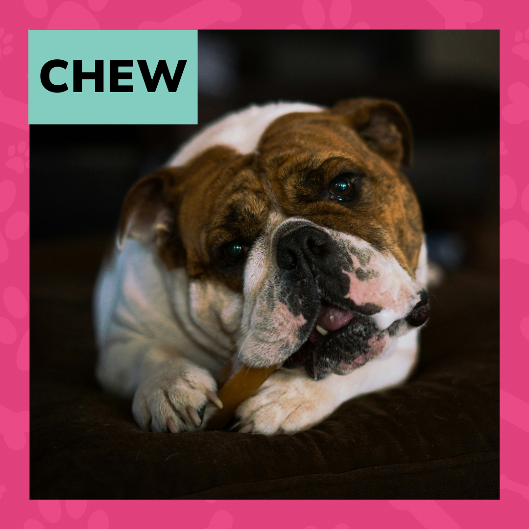 Chew – Mind Game of the Month