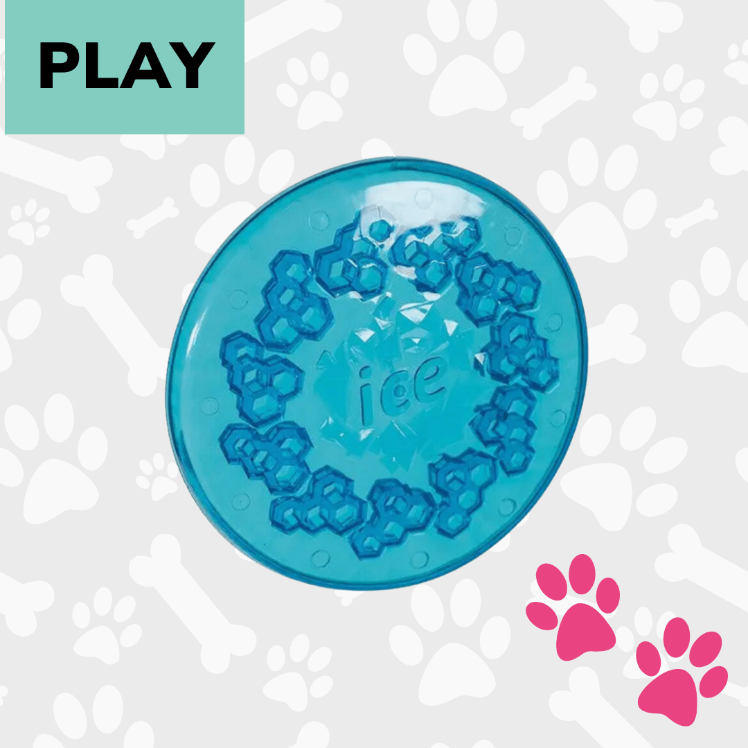 Ice Hero Frisbee – Mind Game of the Month